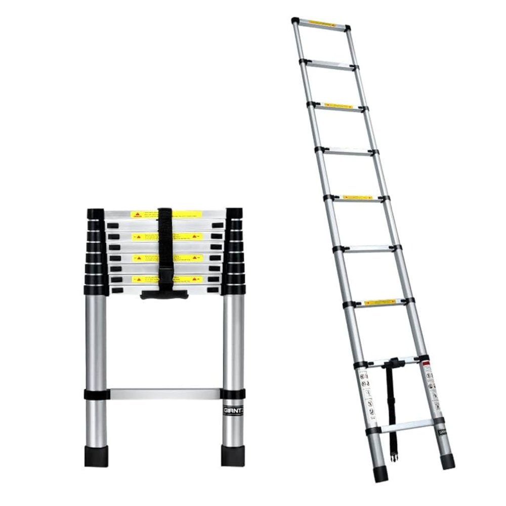 Telescopic Ladder – Project Palace